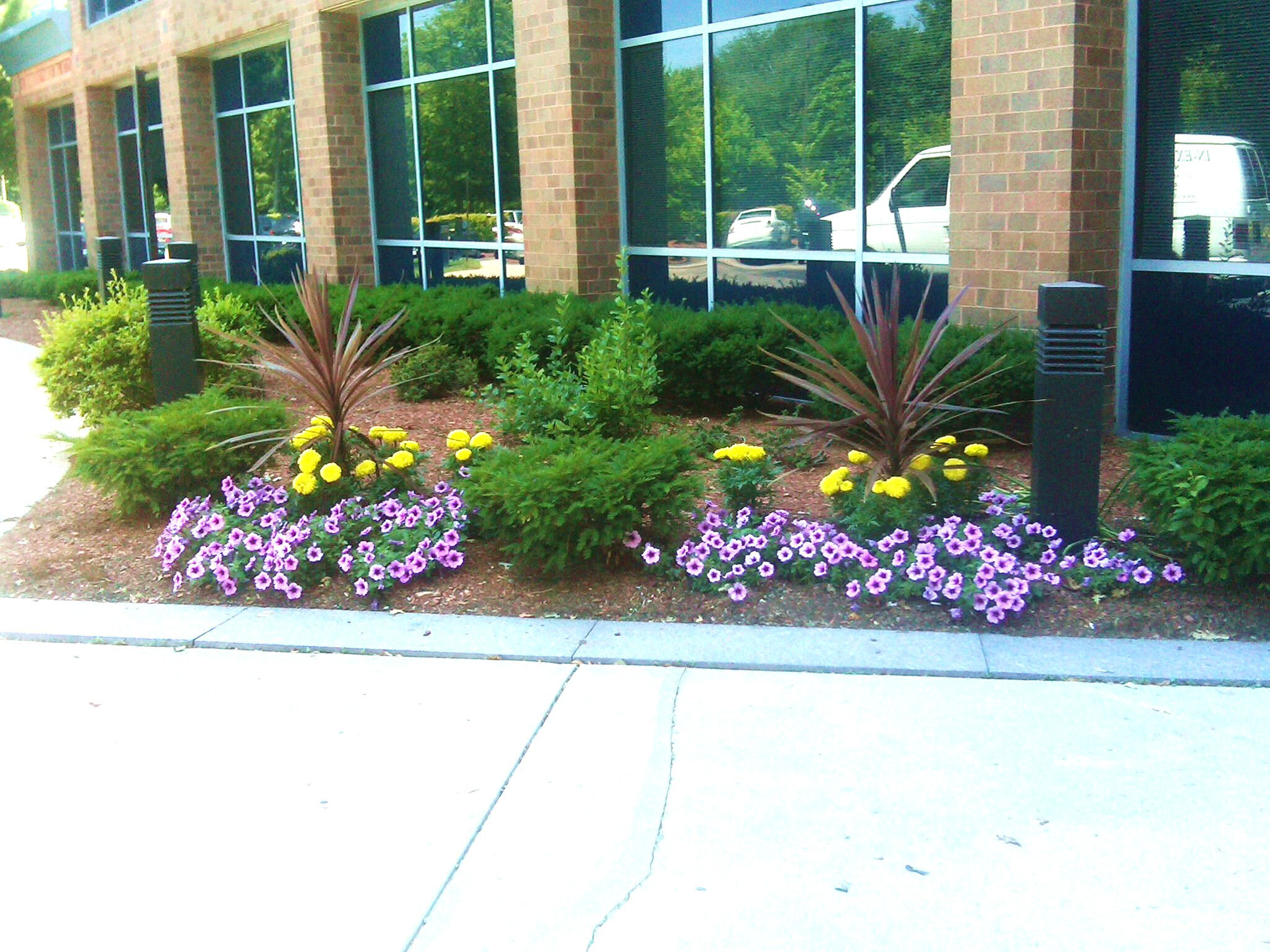 office plants, Burlington office plants ,Burlington living walls, green ...
